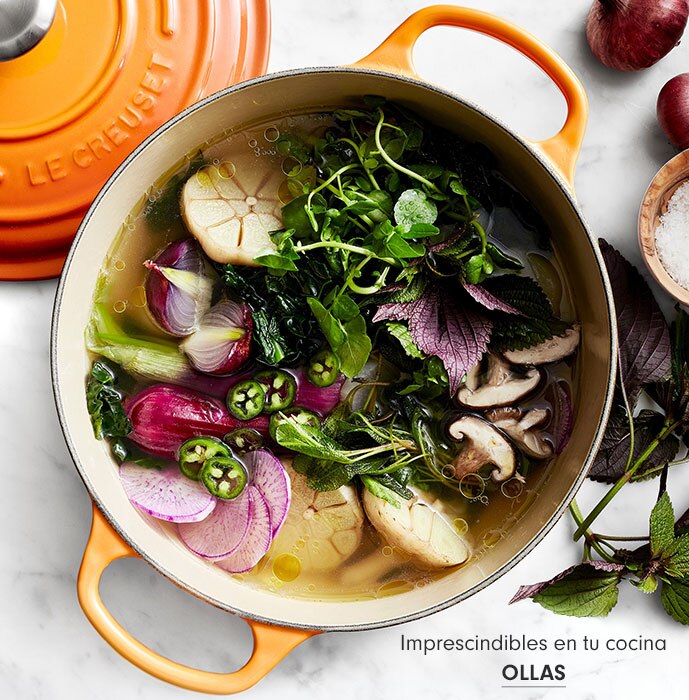 Williams Sonoma México